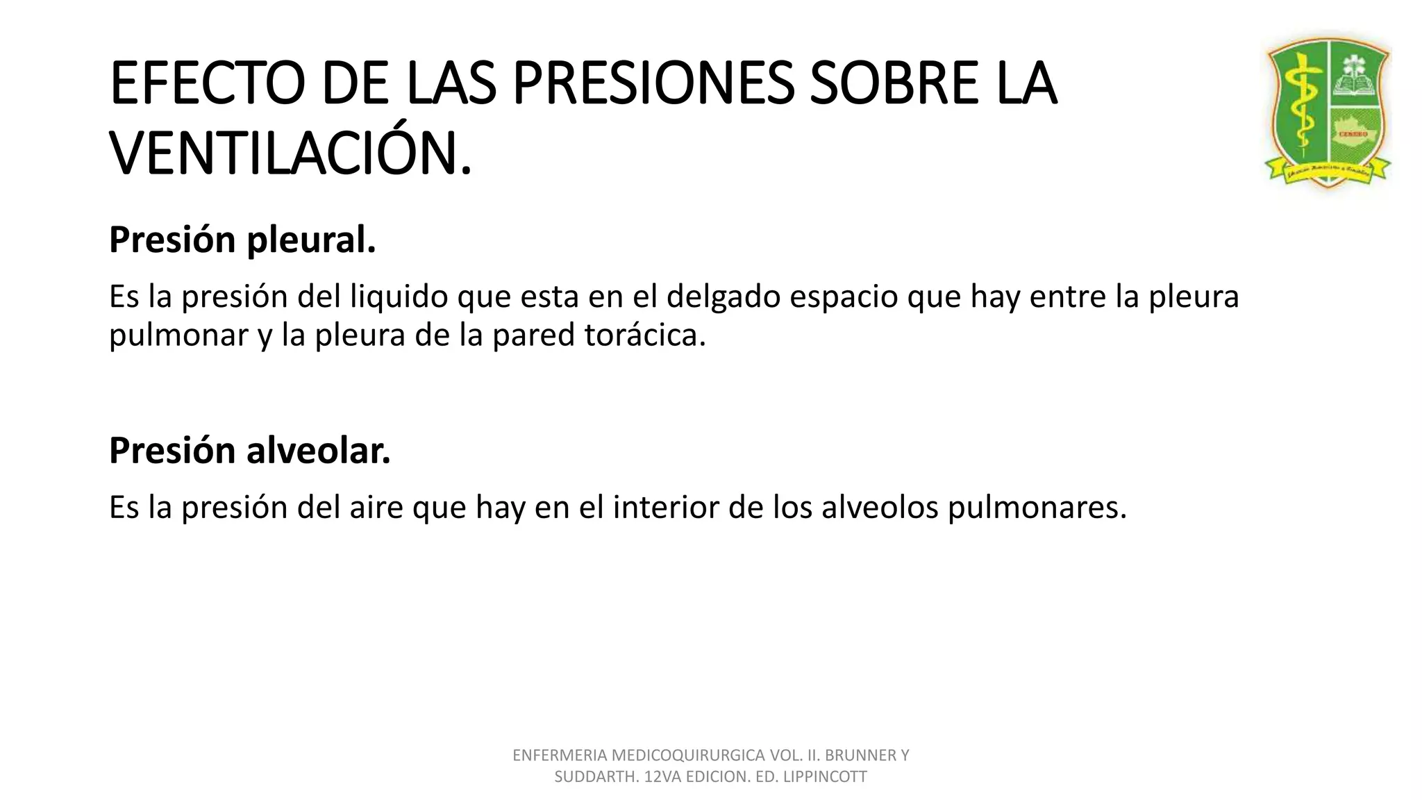 Anatomía y fisiología del aparato respiratorio.pptx | Lung and ...
