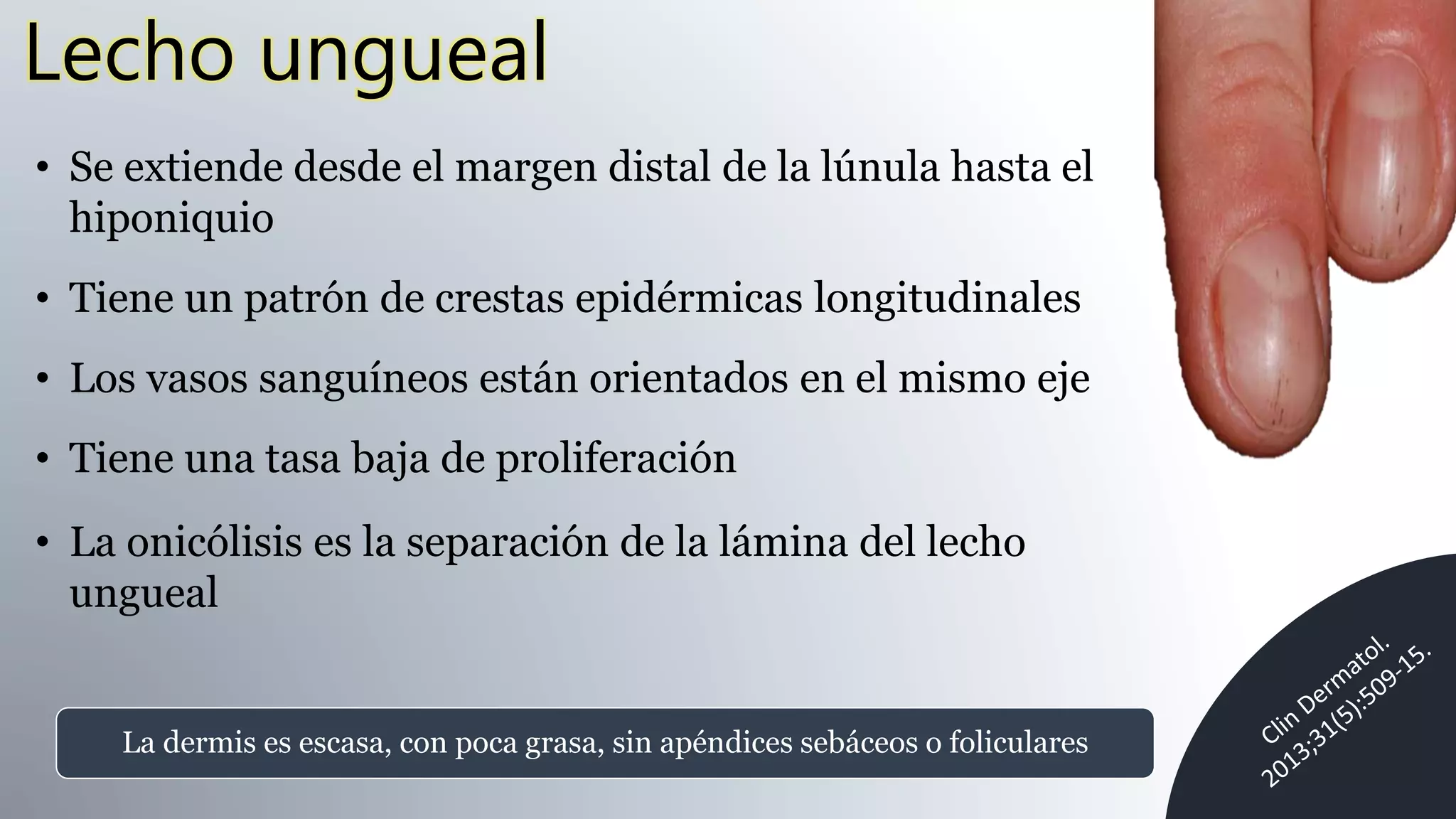 Anatomía y Fisiología de las Uñas | PPTX