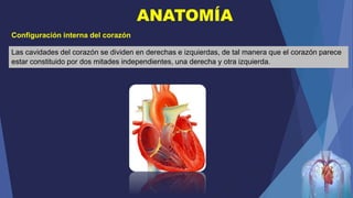 ANATOMÍA Y FISIOLOGÍA DEL CORAZÓN a.pptx