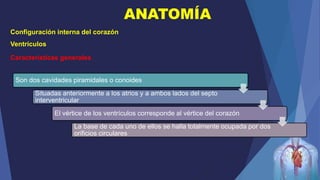 ANATOMÍA Y FISIOLOGÍA DEL CORAZÓN a.pptx