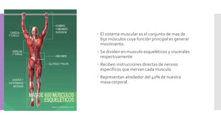 ANATOMÍA Y FISIOLOGÍA DEL CUERPO HUMANO.pptx