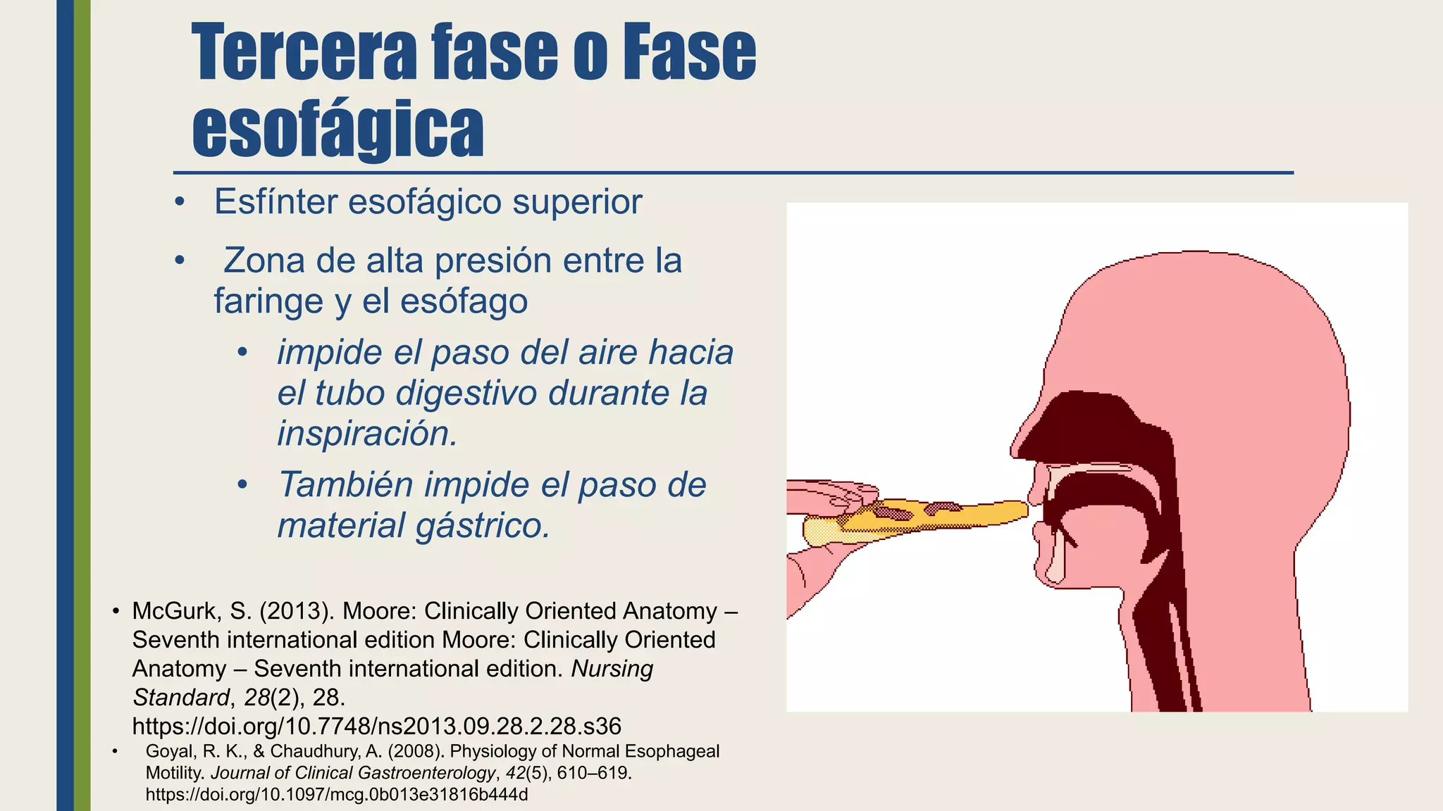 Anatomía y Fisiología del Esófago.pptx