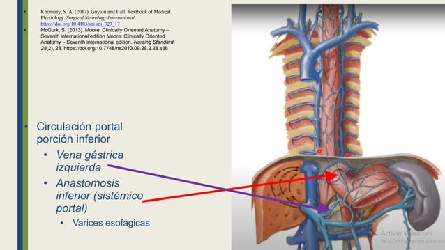 Anatomía y Fisiología del Esófago.pptx