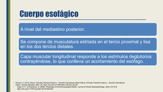 Anatomía y Fisiología del Esófago.pptx