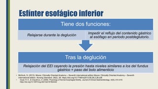 Anatomía y Fisiología del Esófago.pptx