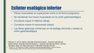 Anatomía y Fisiología del Esófago.pptx