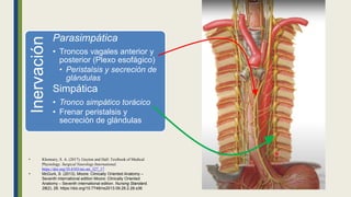 Anatomía y Fisiología del Esófago.pptx