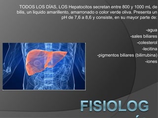 Anatomía y fisiología del hígado | PPTX
