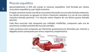 ANATOMÍA Y FISIOLOGÍA DEL MÚSCULO.pptx