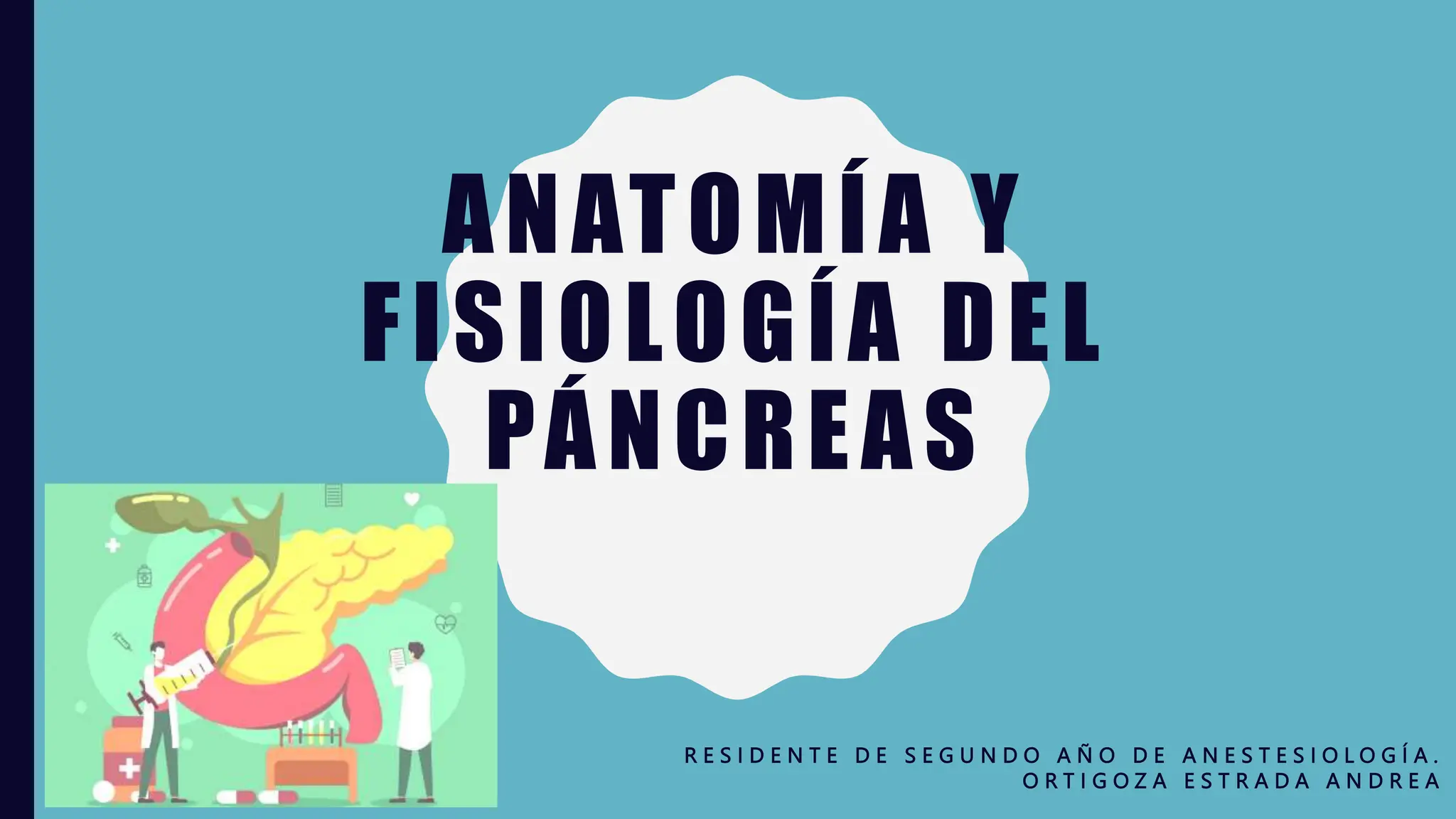 Anatom A Y Fisiolog A Del P Ncreas Pptx