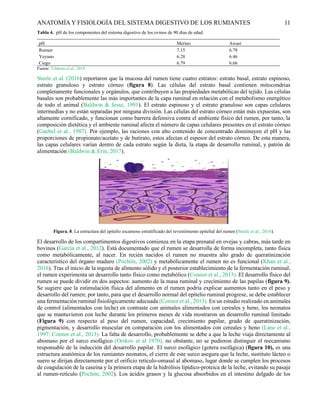 Anatomía y fisiología del rumen 000000000 | PDF