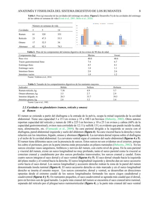 Anatomía y fisiología del rumen 000000000 | PDF