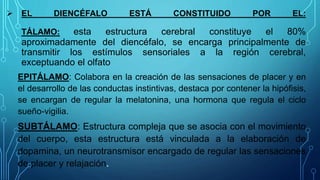 ANATOMíA Y FISIOLOGíA DEL SISTEMA NERVIOSO diapositiva (2).pptx