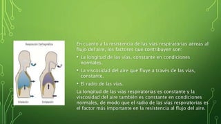 Anatomía y fisiología del sistema respiratorio.pptx