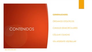 Anatomía y Fisiología del Sistema Vestibular Periférico | PPTX