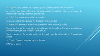 ANATOMÍA Y FISIOLOGÍA DEL TÓRAX Y LA.pptx
