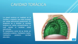 ANATOMÍA Y FISIOLOGÍA DEL TÓRAX Y LA.pptx