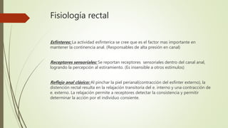 Anatomía y fisiología de recto y ano | PPTX