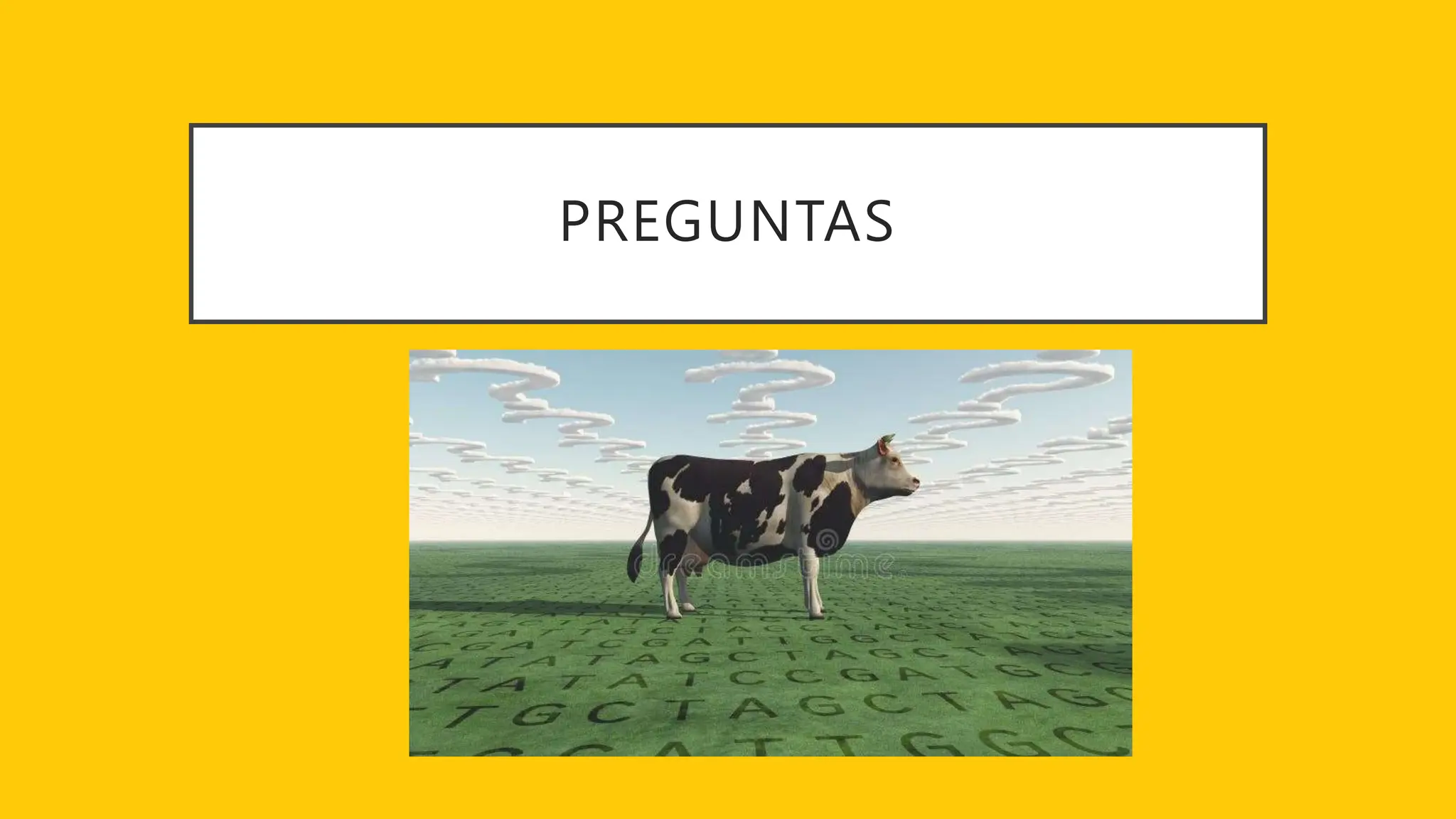 Anatomía y fisiología reproductiva de la vaca.pptx