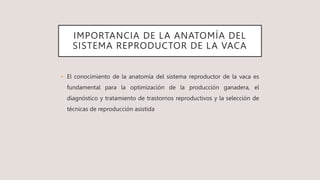 Anatomía y fisiología reproductiva de la vaca.pptx