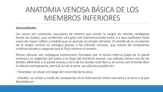 Anatomía y fisiología venosa de los miembros inferiores.pdf