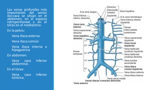 Anatomía y fisiología venosa de los miembros inferiores.pdf