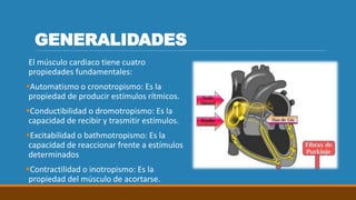 Anatomía y fisiologia cardiaca | PPTX