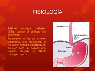 Anatomía y fisiologia del esofago | PPTX