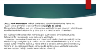 Anatomía y función vestibular | PPTX