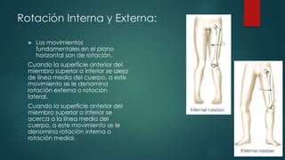 Anatomía y planos.pptx