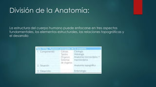Anatomía y planos.pptx