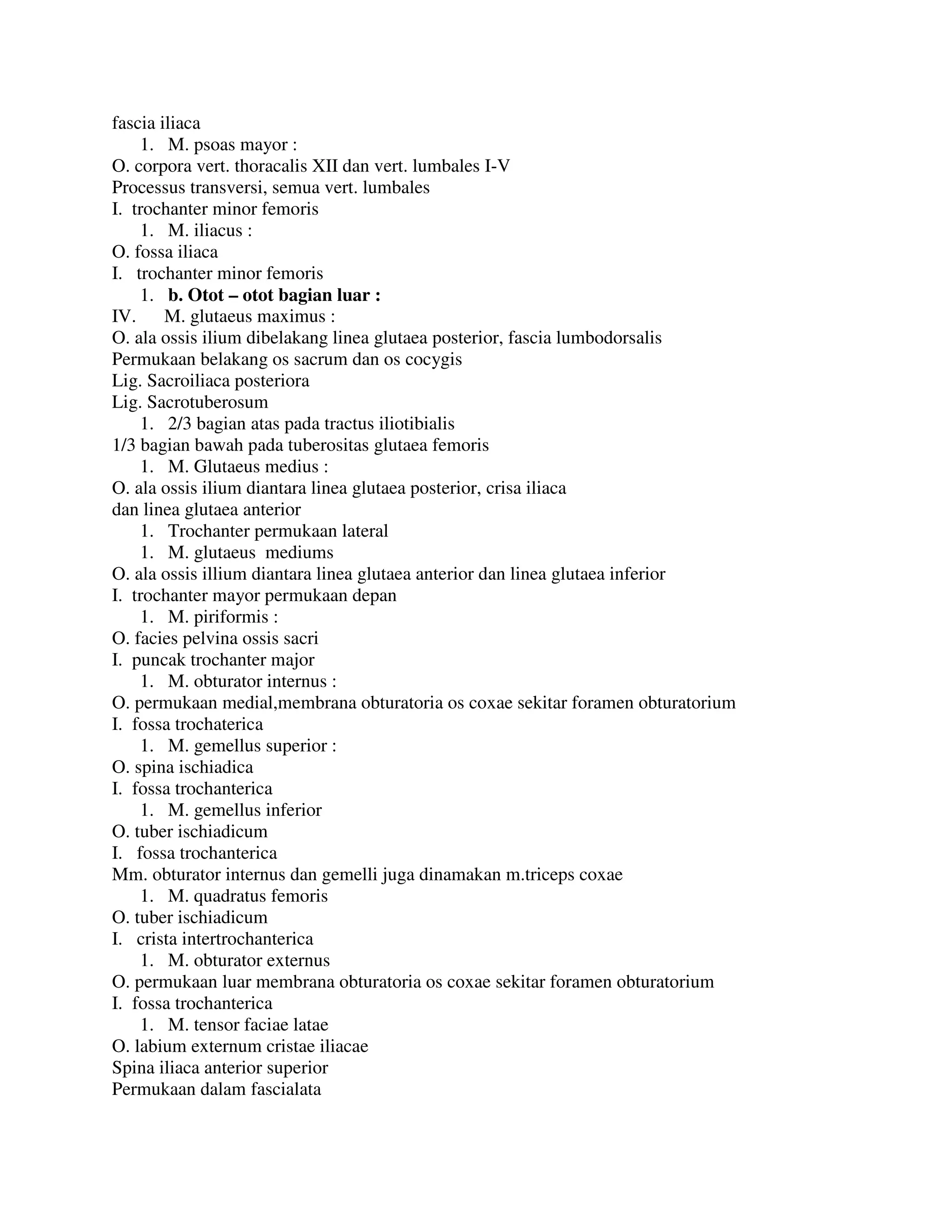 Anatomi | PDF