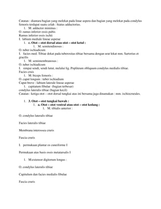 Anatomi | PDF
