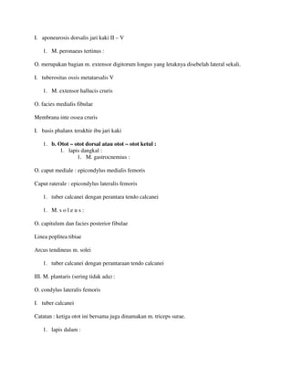Anatomi | PDF