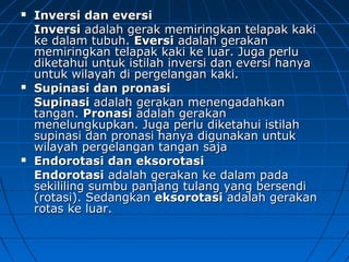 anatomi STIKES ANDINI PERSADA MAMUJU | PPT