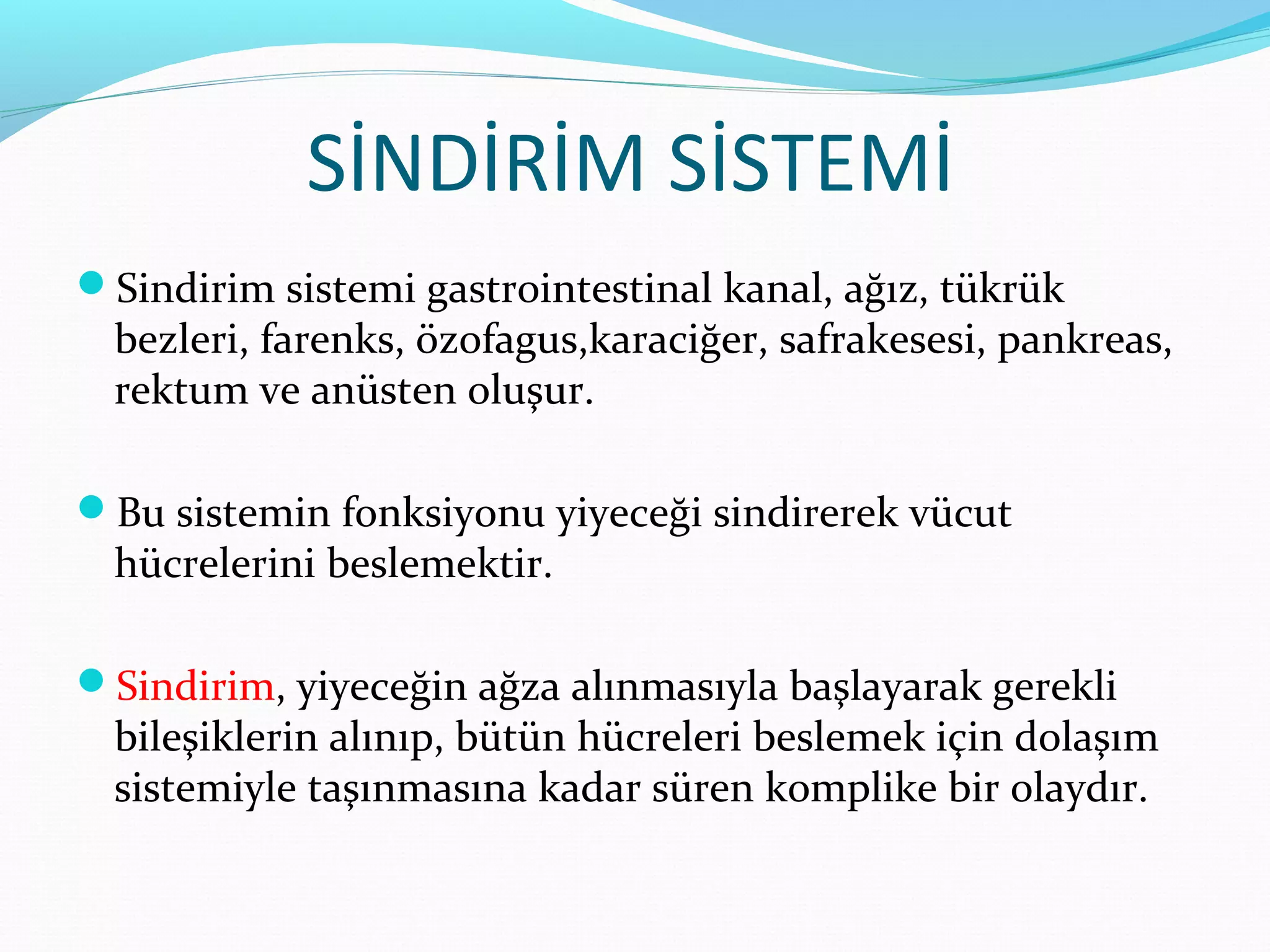Anatomi ders notları | PPT