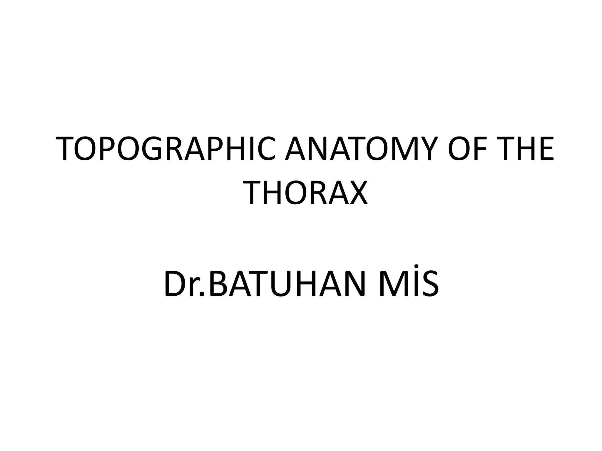 anatomy of the thorax | PPTX