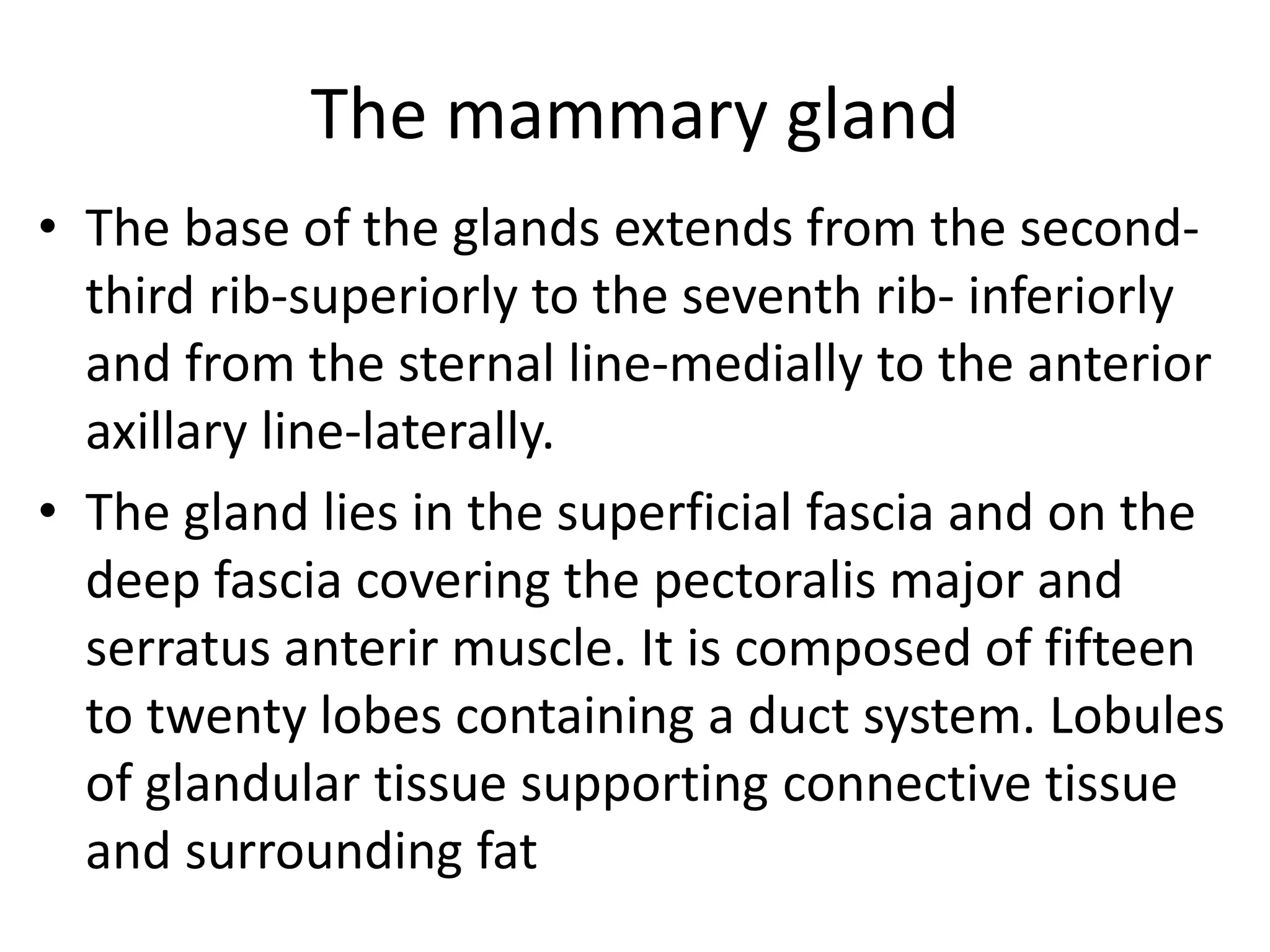 anatomy of the thorax | PPTX