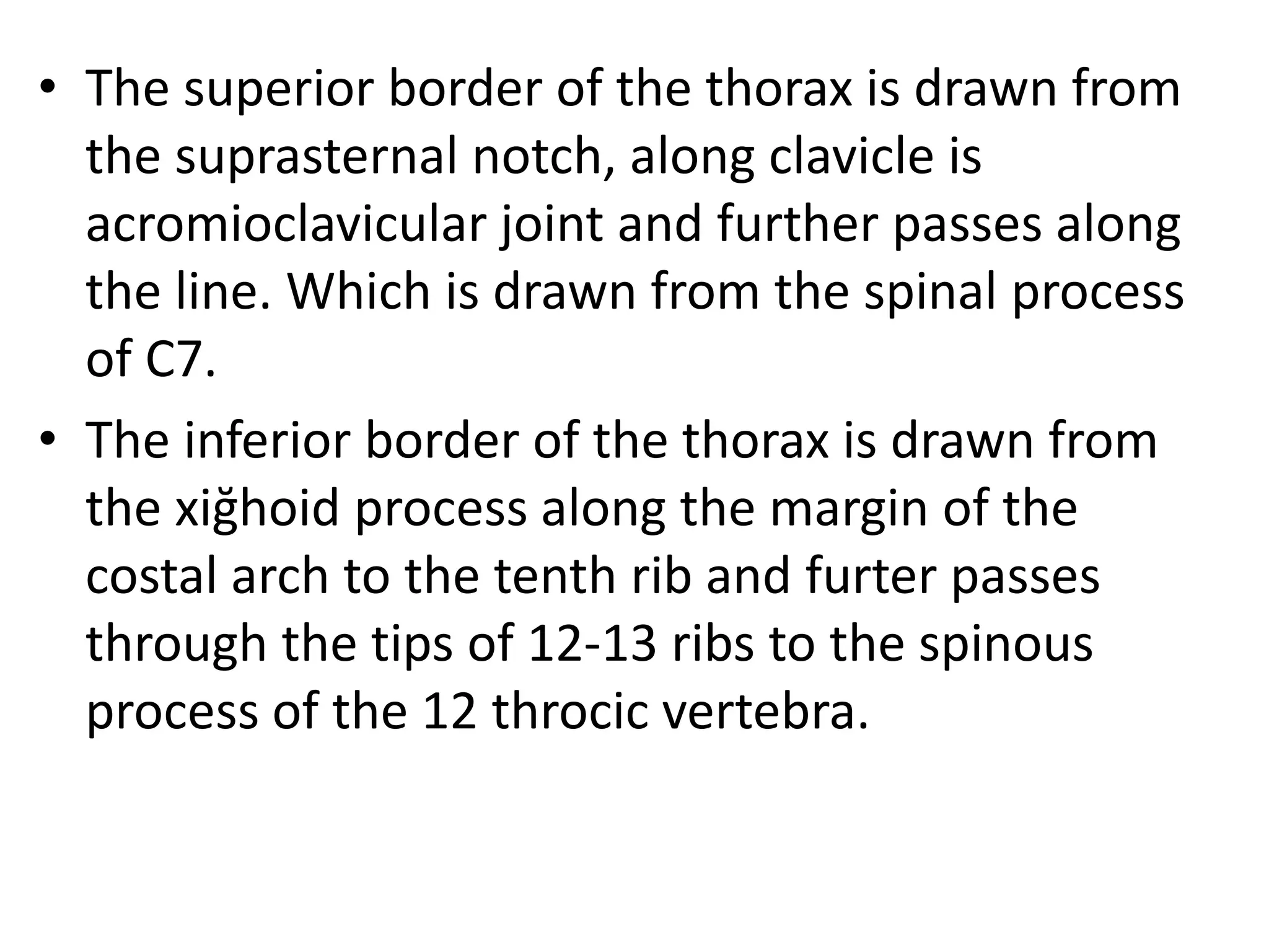 anatomy of the thorax | PPTX