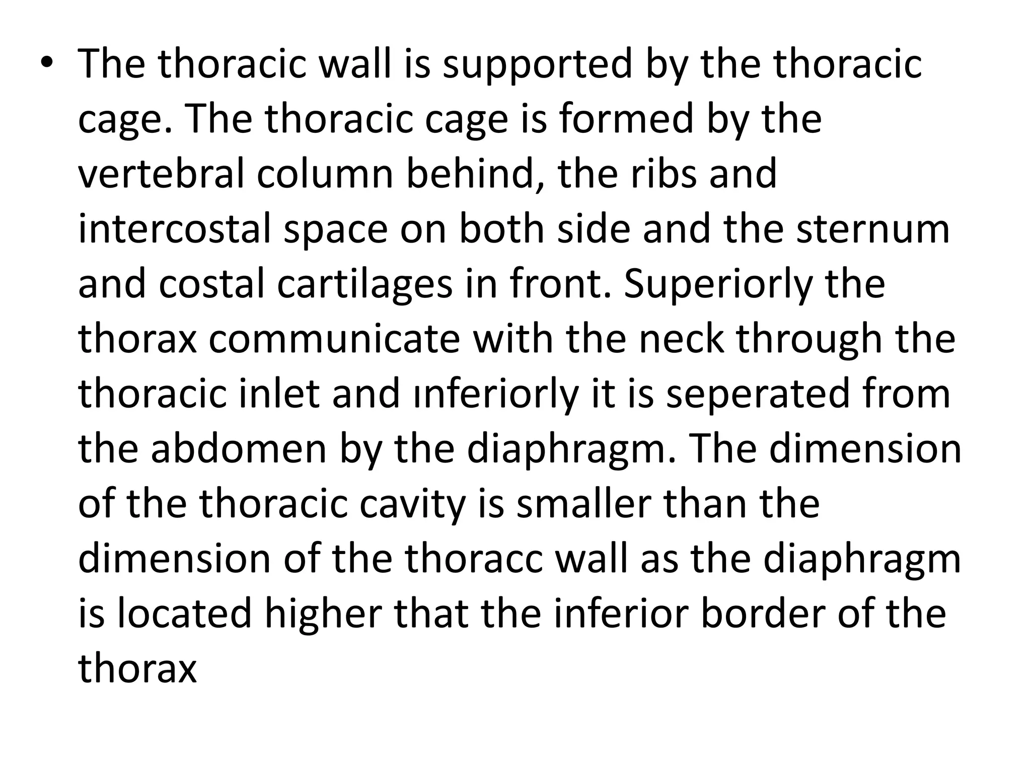 anatomy of the thorax | PPTX