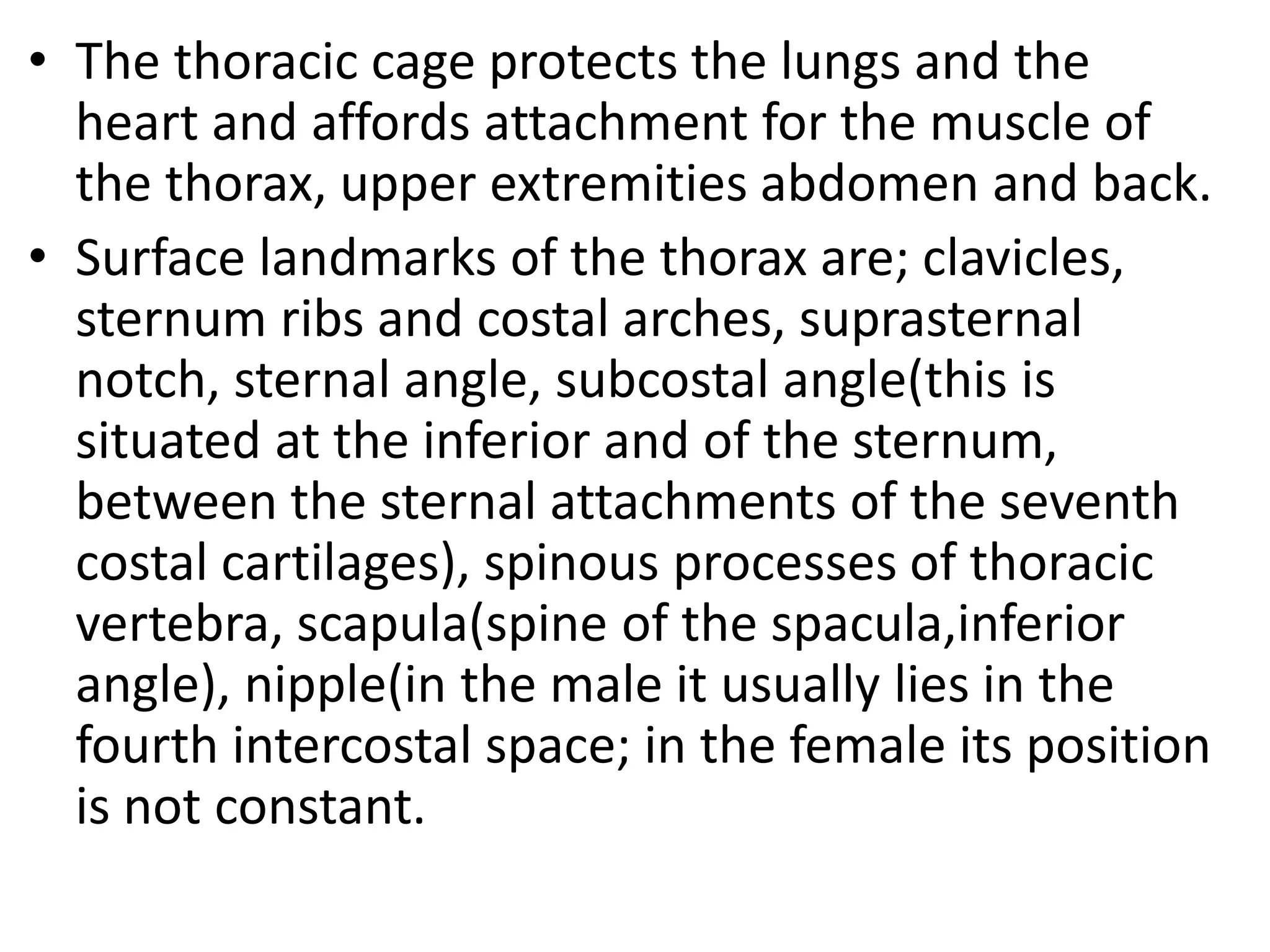 anatomy of the thorax | PPT | Free Download