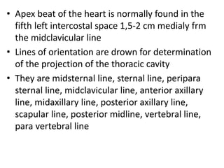 anatomy of the thorax | PPT | Free Download