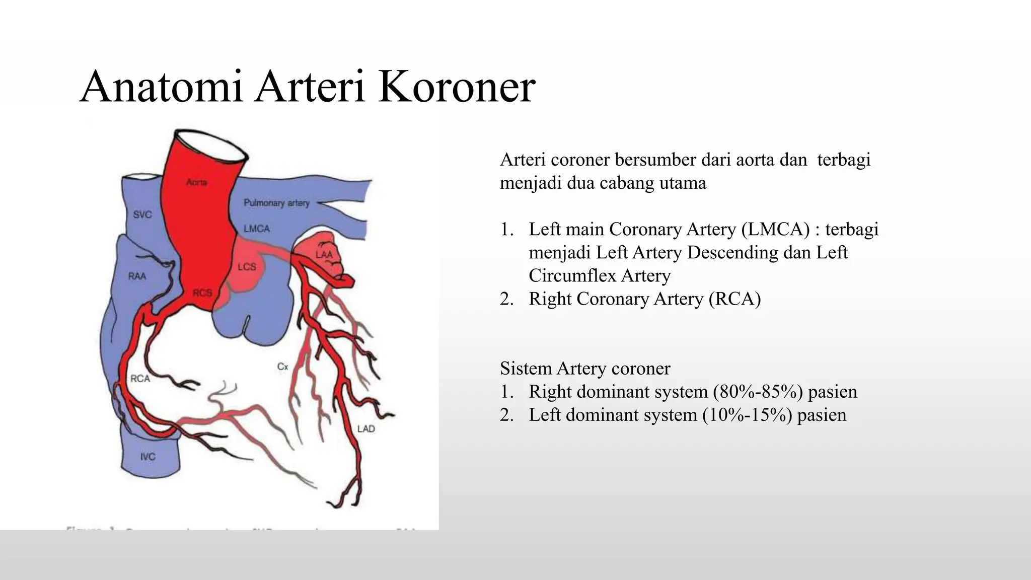 Anatomiof coronary artery and vein .pptx