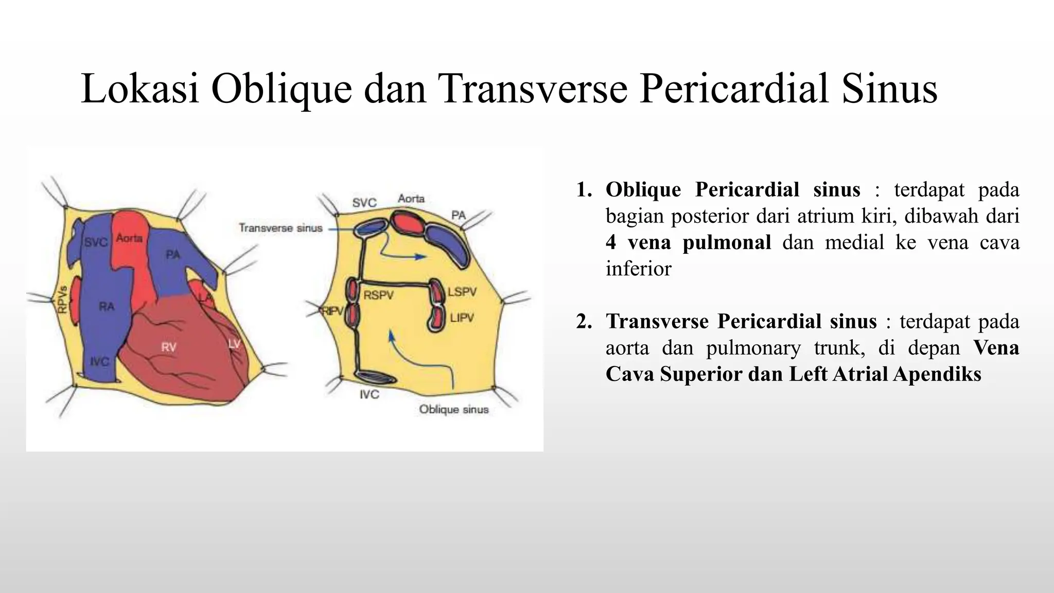 Anatomiof coronary artery and vein .pptx