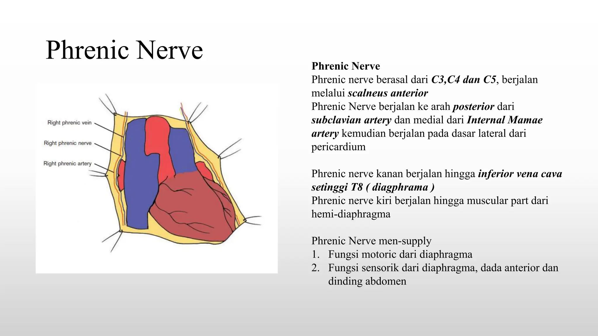 Anatomiof coronary artery and vein .pptx