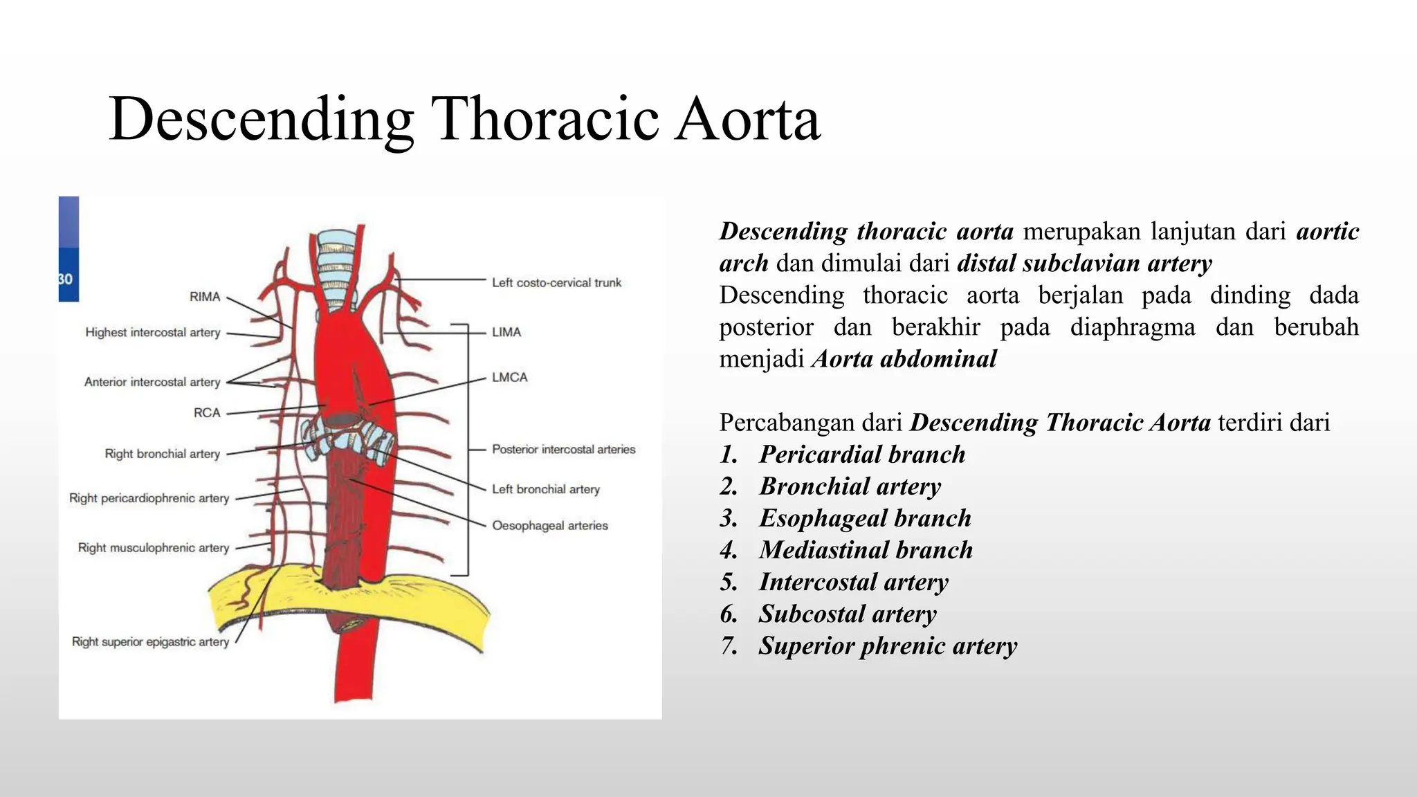 Anatomiof coronary artery and vein .pptx