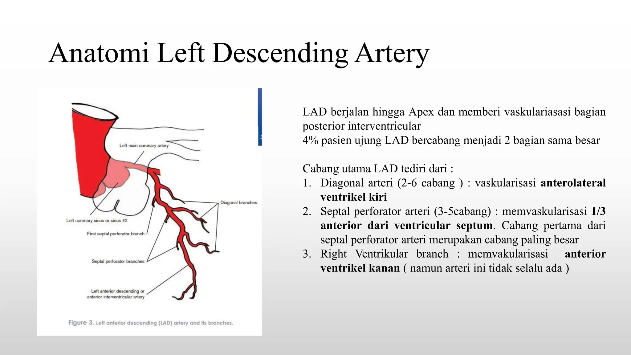Anatomiof coronary artery and vein .pptx