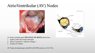 Anatomiof coronary artery and vein .pptx