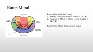 Anatomiof coronary artery and vein .pptx