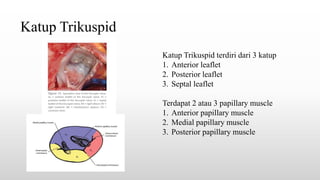 Anatomiof coronary artery and vein .pptx